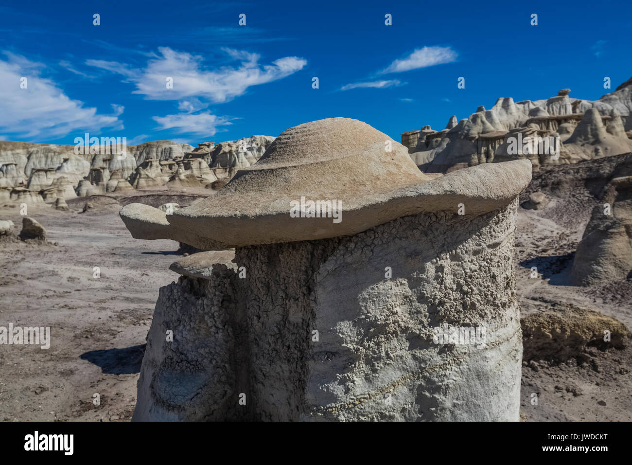 Caprock shaped like a sombrero in the Bisti/De-Na-Zin Wilderness near ...