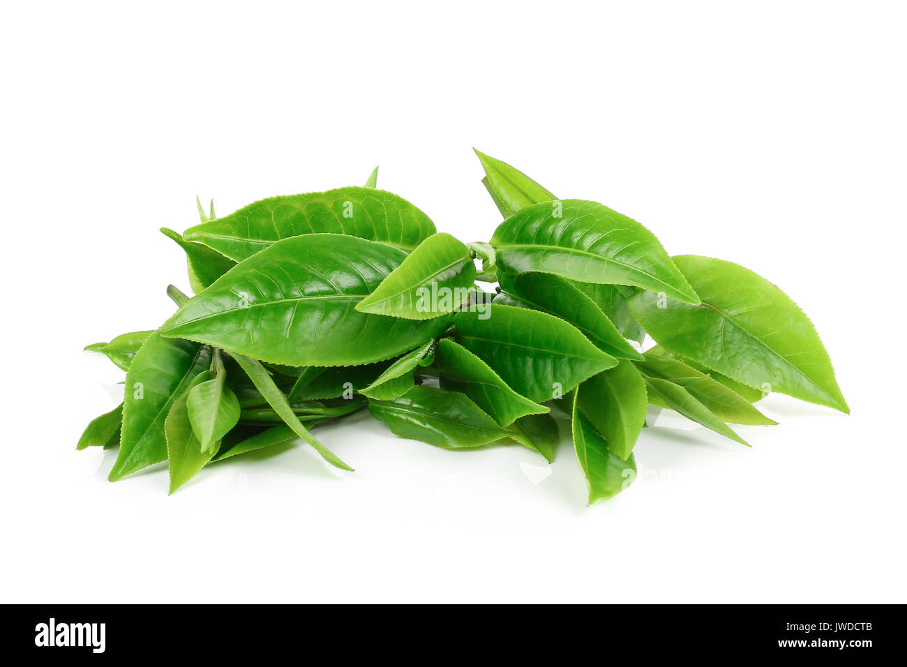 pile of green tea leaves isolated on white background Stock Photo - Alamy