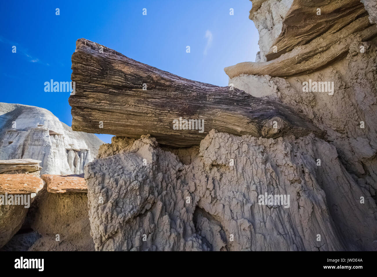 Sedimentary log hi-res stock photography and images - Alamy