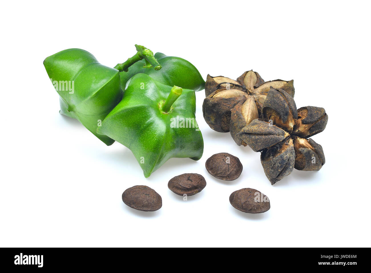 fresh sacha inchi isolated on white background Stock Photo - Alamy