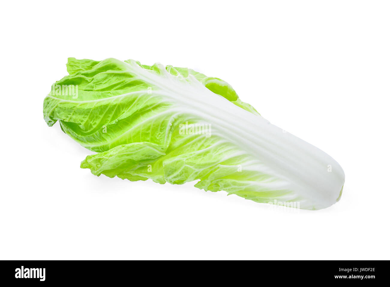 fresh chinese cabbage isolated on a white background Stock Photo - Alamy