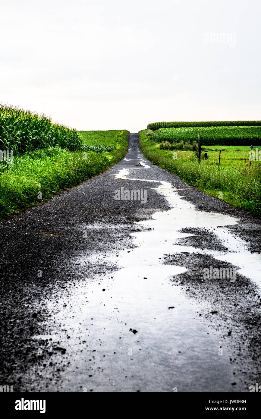 Raining Country Road View Down Old Country Road During Rain Storm,