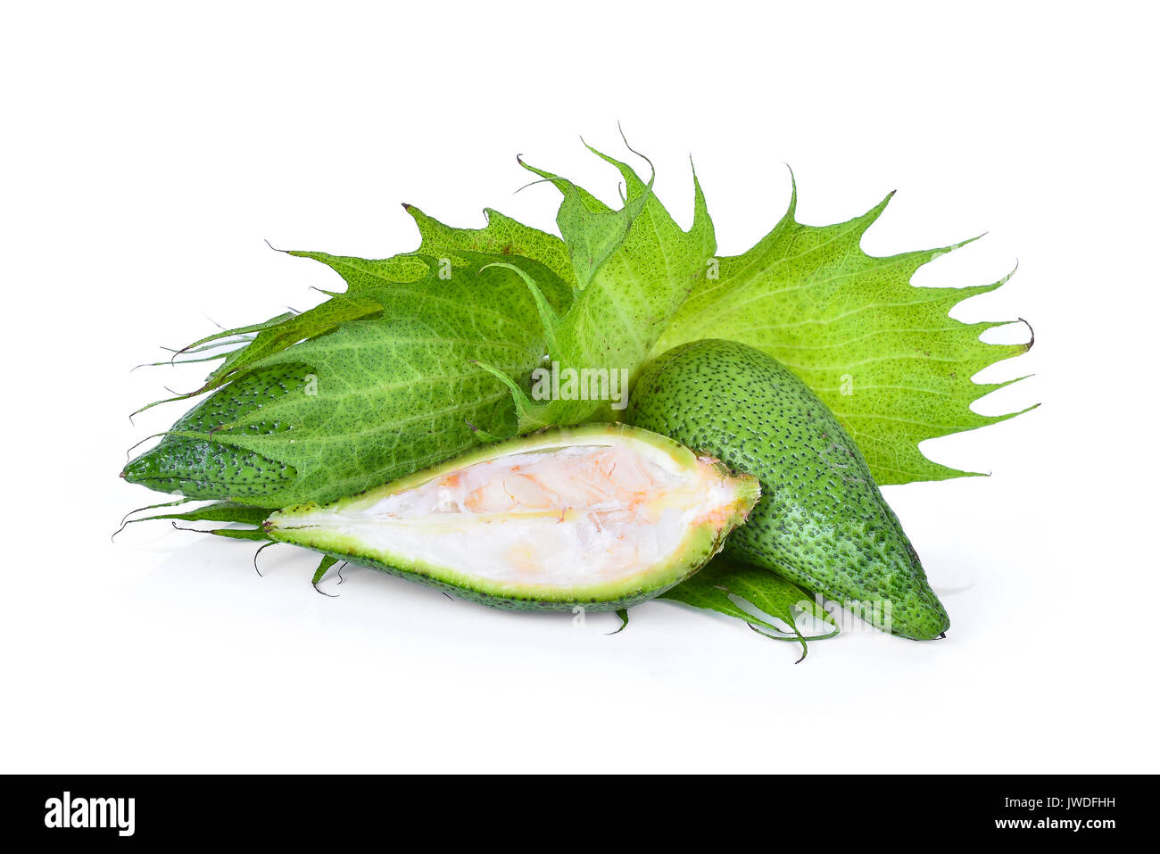 raw cotton ball isolated on white background Stock Photo - Alamy