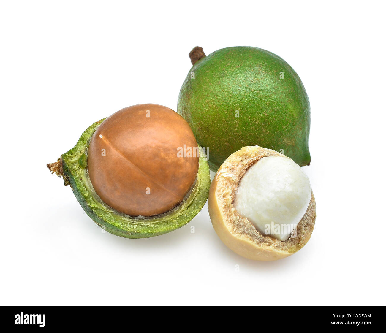 Macadamia isolated on white background Stock Photo - Alamy