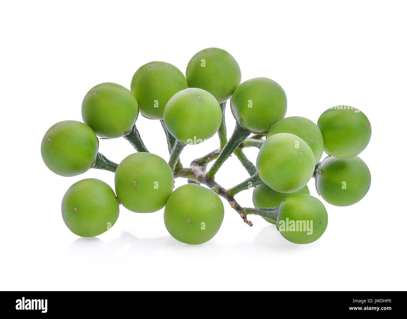 Turkey berry hi-res stock photography and images - Alamy