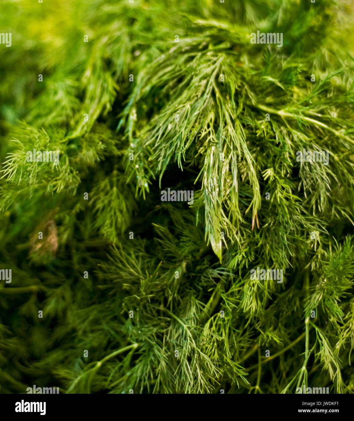 Textures of foods In the market and food stores Stock Photo - Alamy
