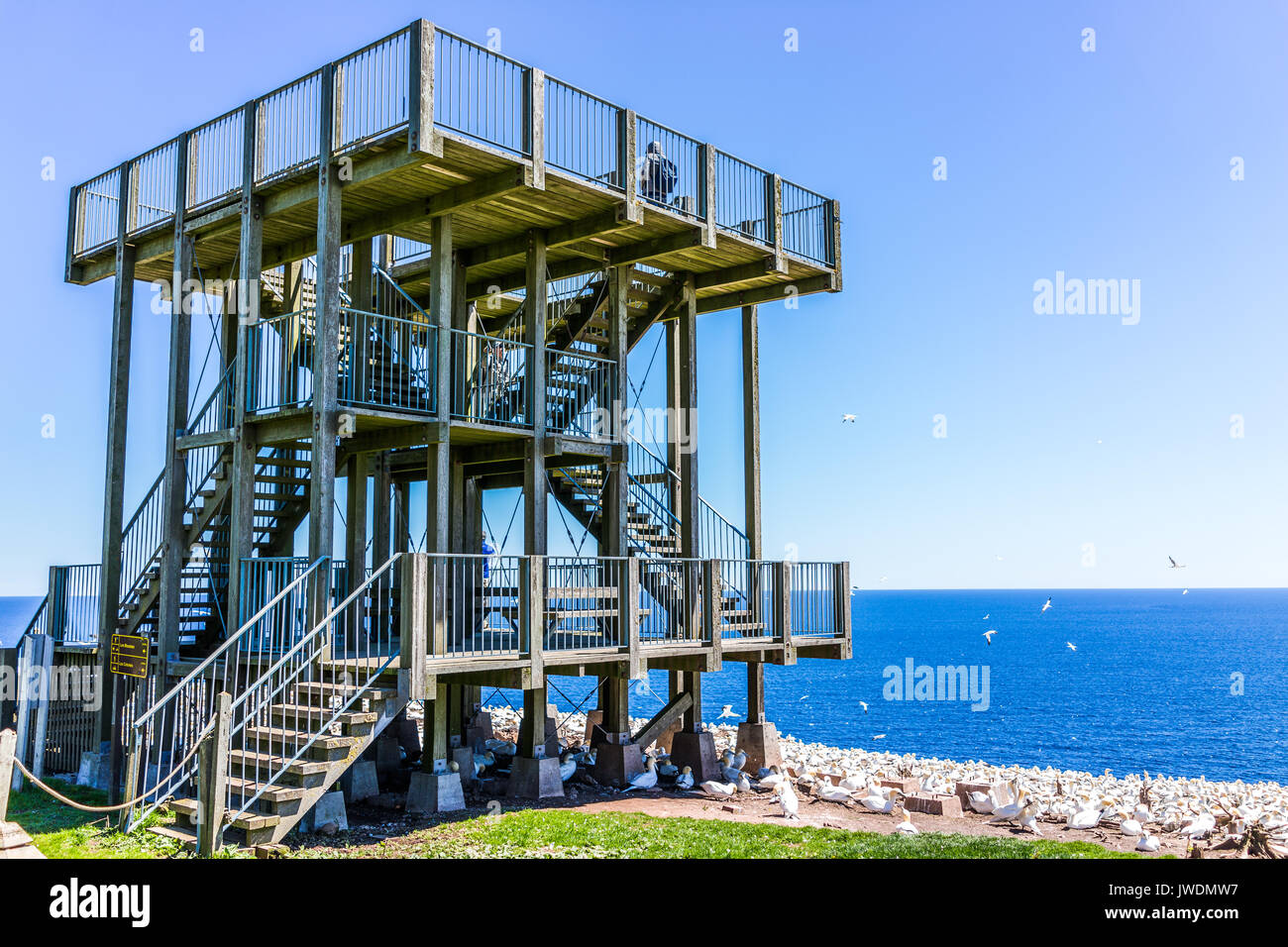 Perce, Canada - June 6, 2017: Wooden viewing platform building ...