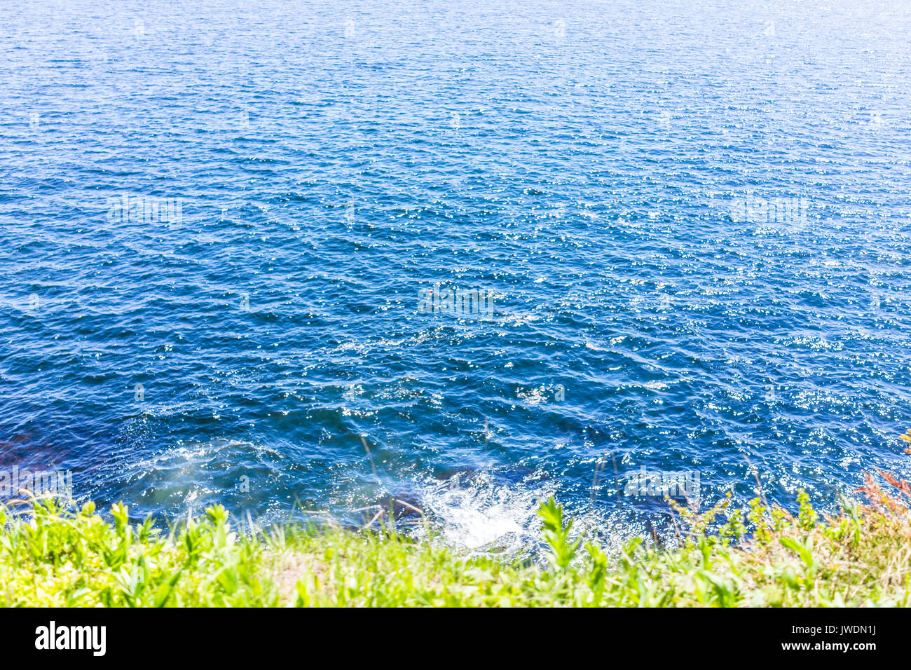 Overlook of ocean on trail in Bonaventure Island, Quebec, Canada by ...