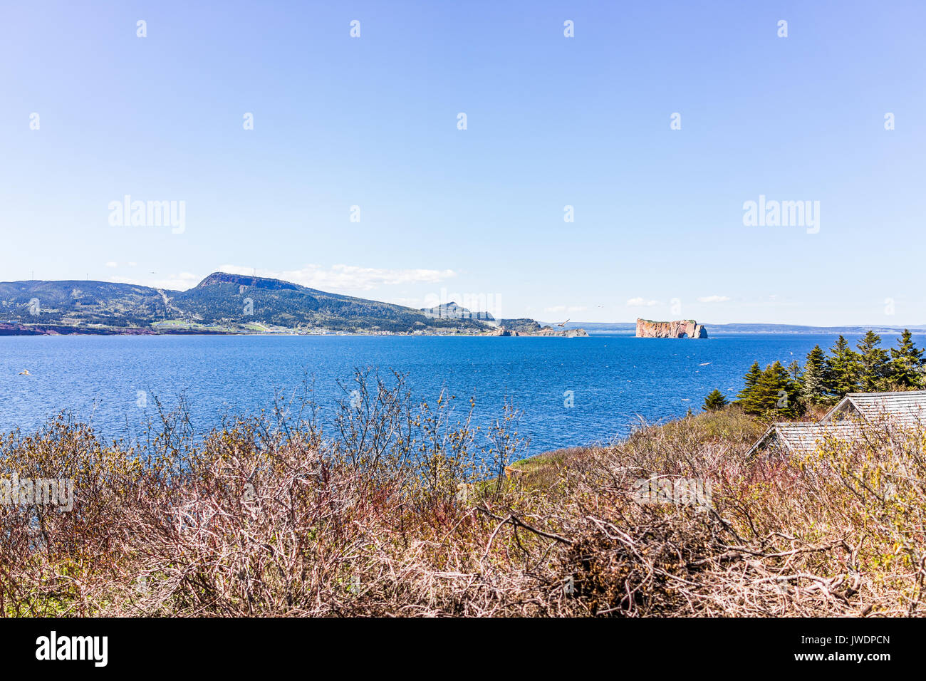 View of Rocher Perce from Bonaventure Island with ocean and gannet ...