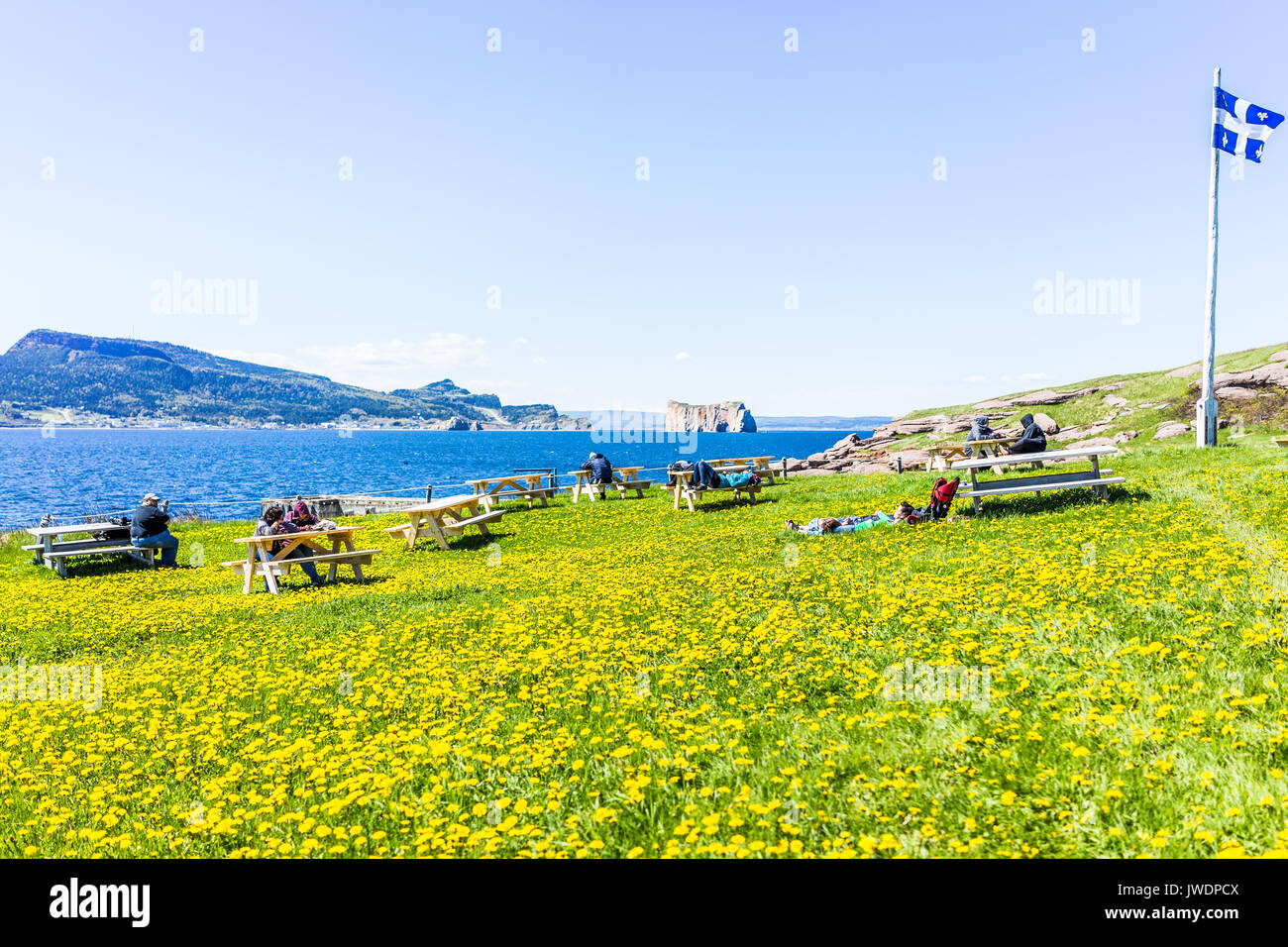 Wildflowers in quebec hi-res stock photography and images - Alamy