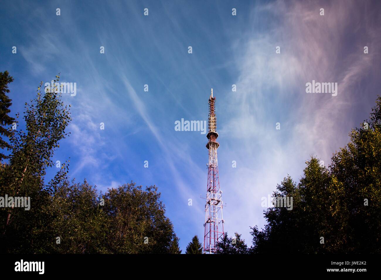 High tower for the transmission of telephone signal in the forest ...