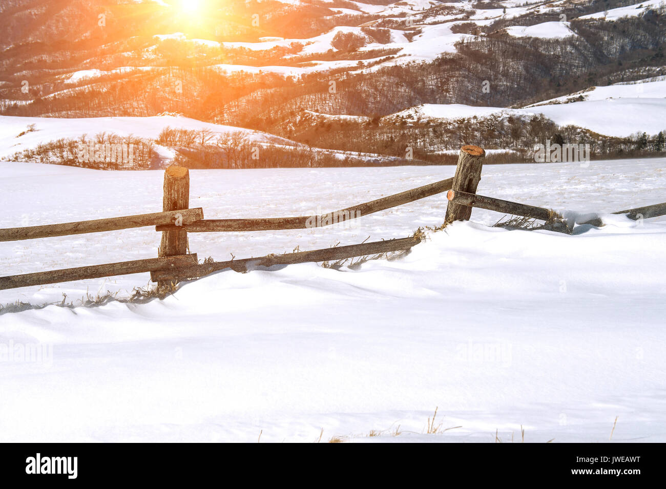Fresh snow cover and sun light,winter background Stock Photo - Alamy
