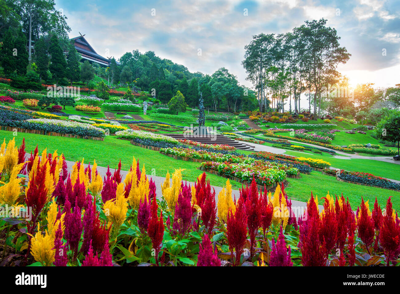 Garden flowers, Mae fah luang garden locate on Doi Tung in Chiang Rai ...