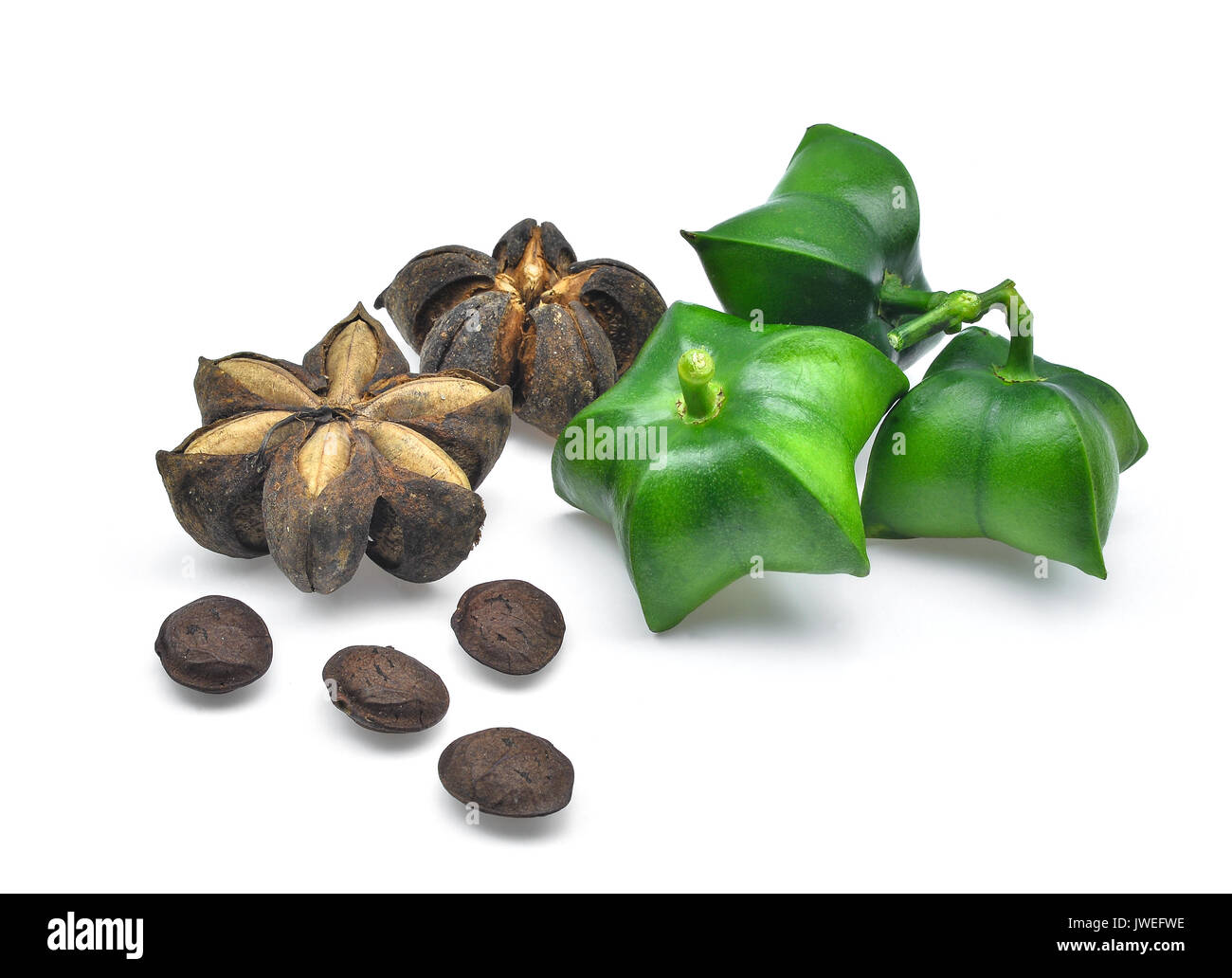 fresh sacha inchi isolated on white background Stock Photo - Alamy