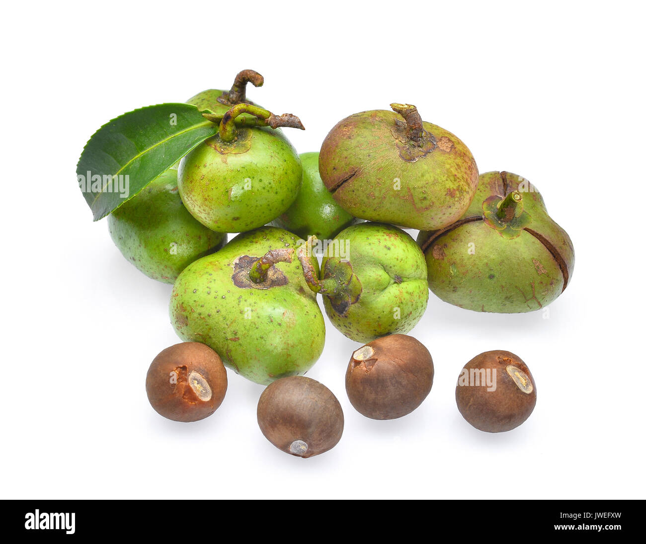 fresh tea seeds isolated on white background Stock Photo - Alamy