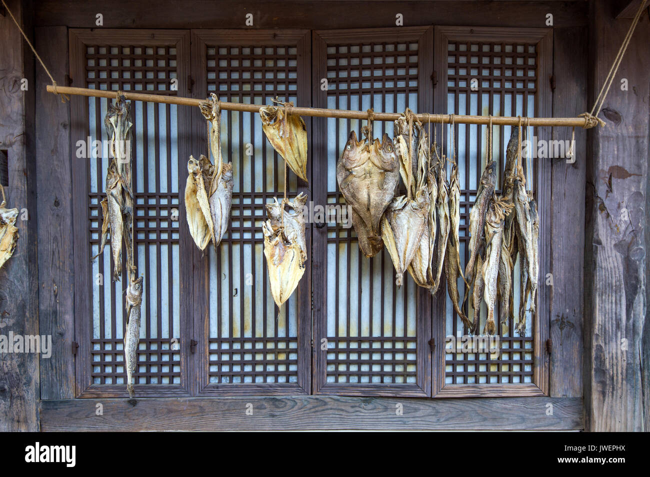 Drama fish hi-res stock photography and images - Alamy