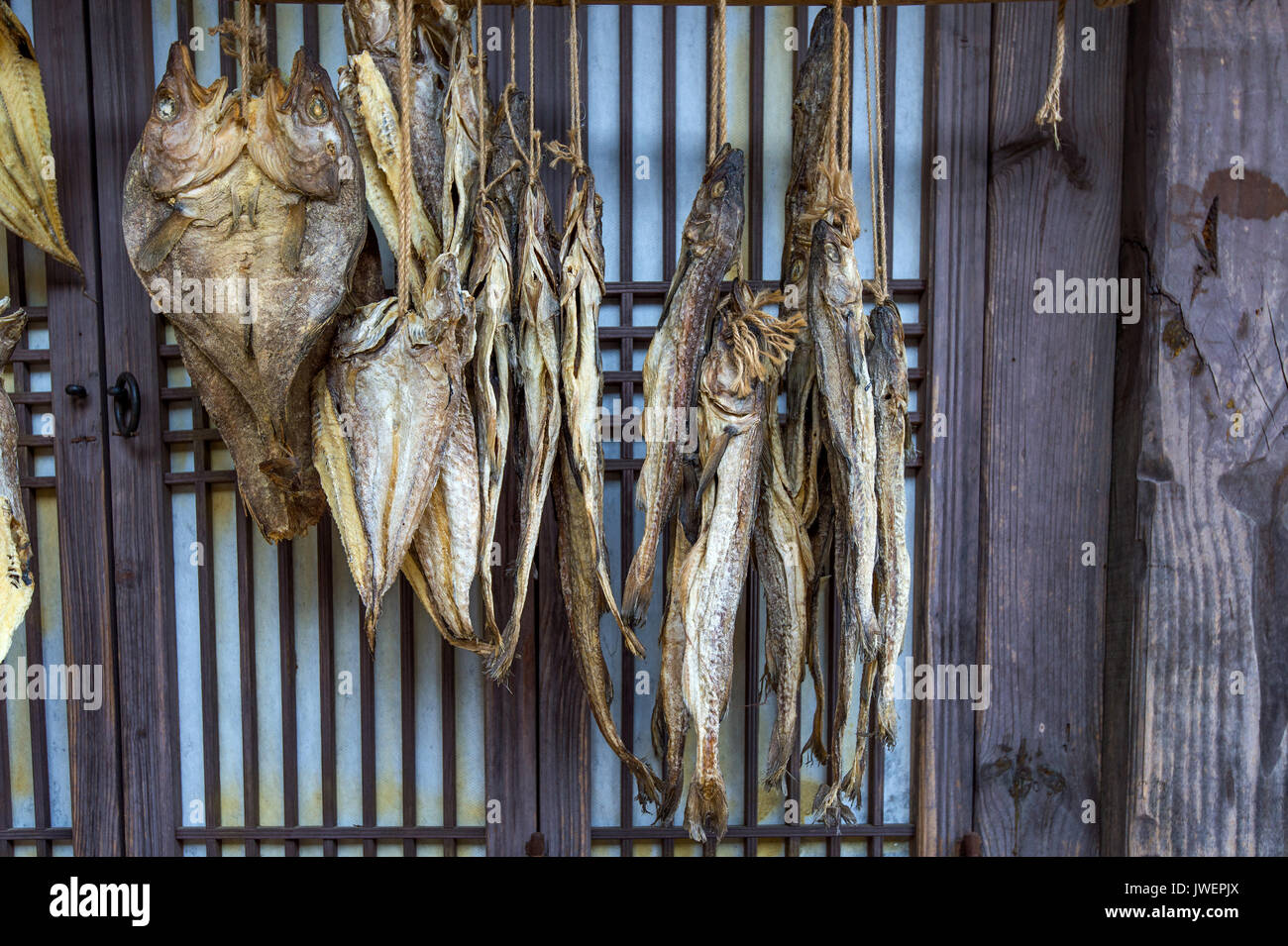 Dried fish at Dae Jang Geum Park or Korean Historical Drama in South ...