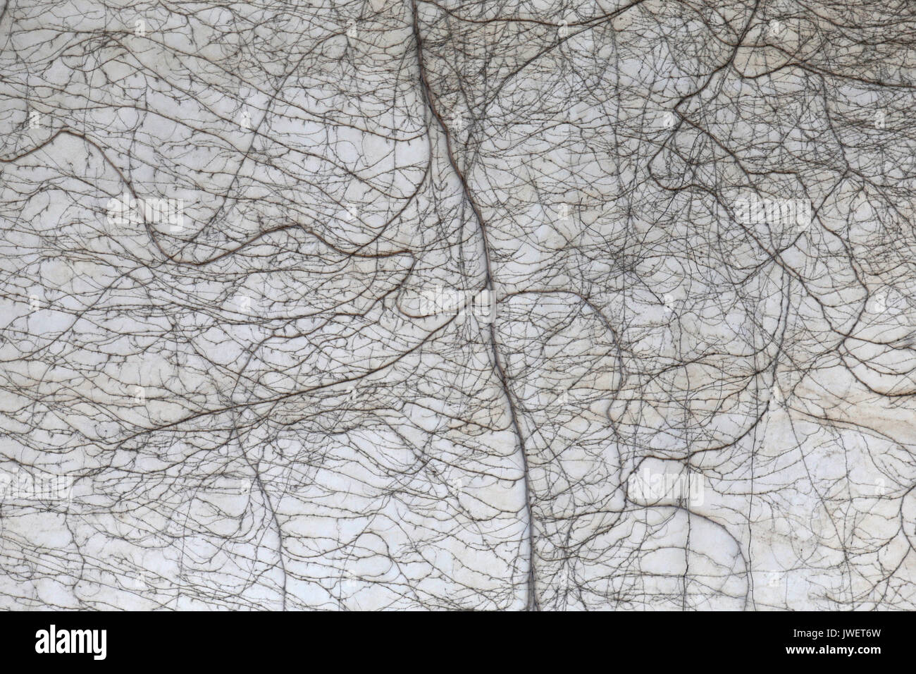 Roots map hi-res stock photography and images - Alamy