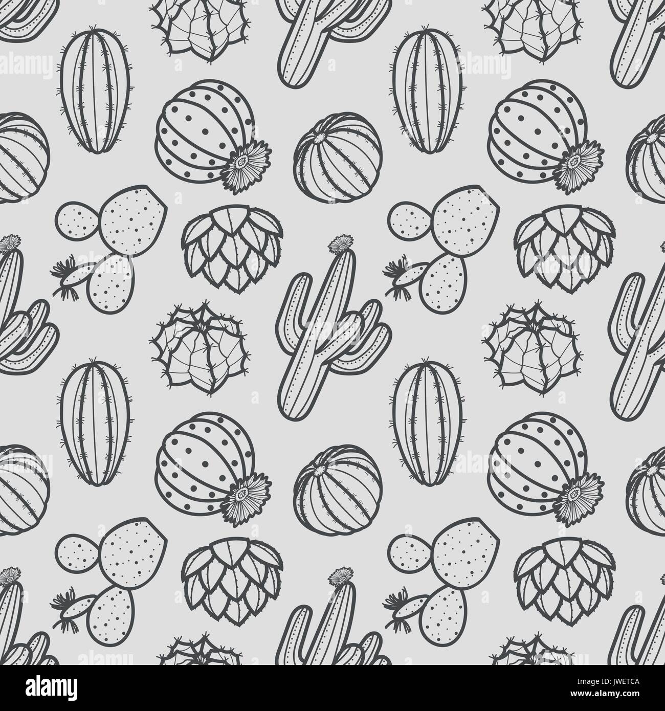 Cactus vector vector vectors hi-res stock photography and images - Alamy