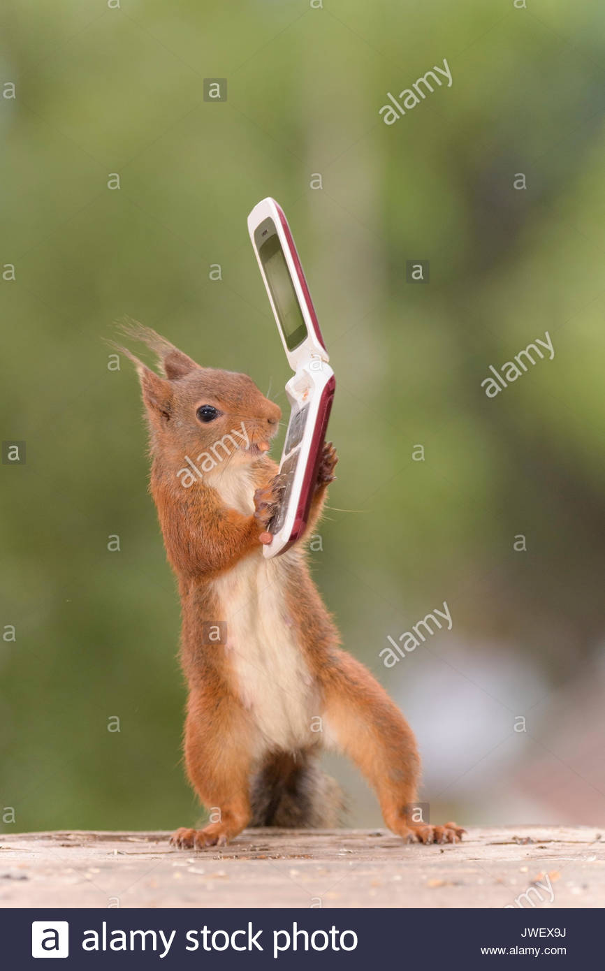 Samtal Stock Photos & Samtal Stock Images - Alamy