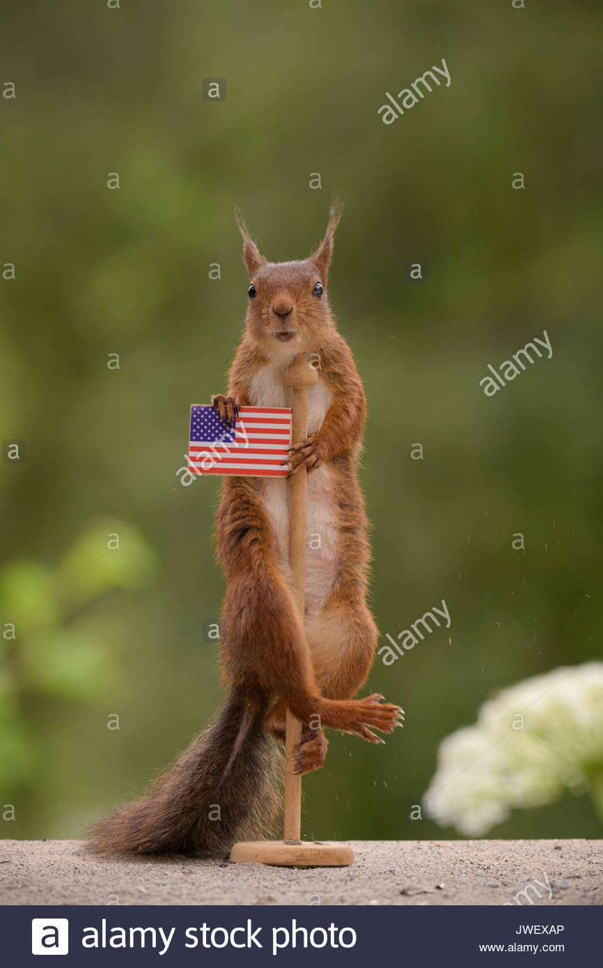 Icelandic Cultures Stock Photos & Icelandic Cultures Stock Images - Alamy