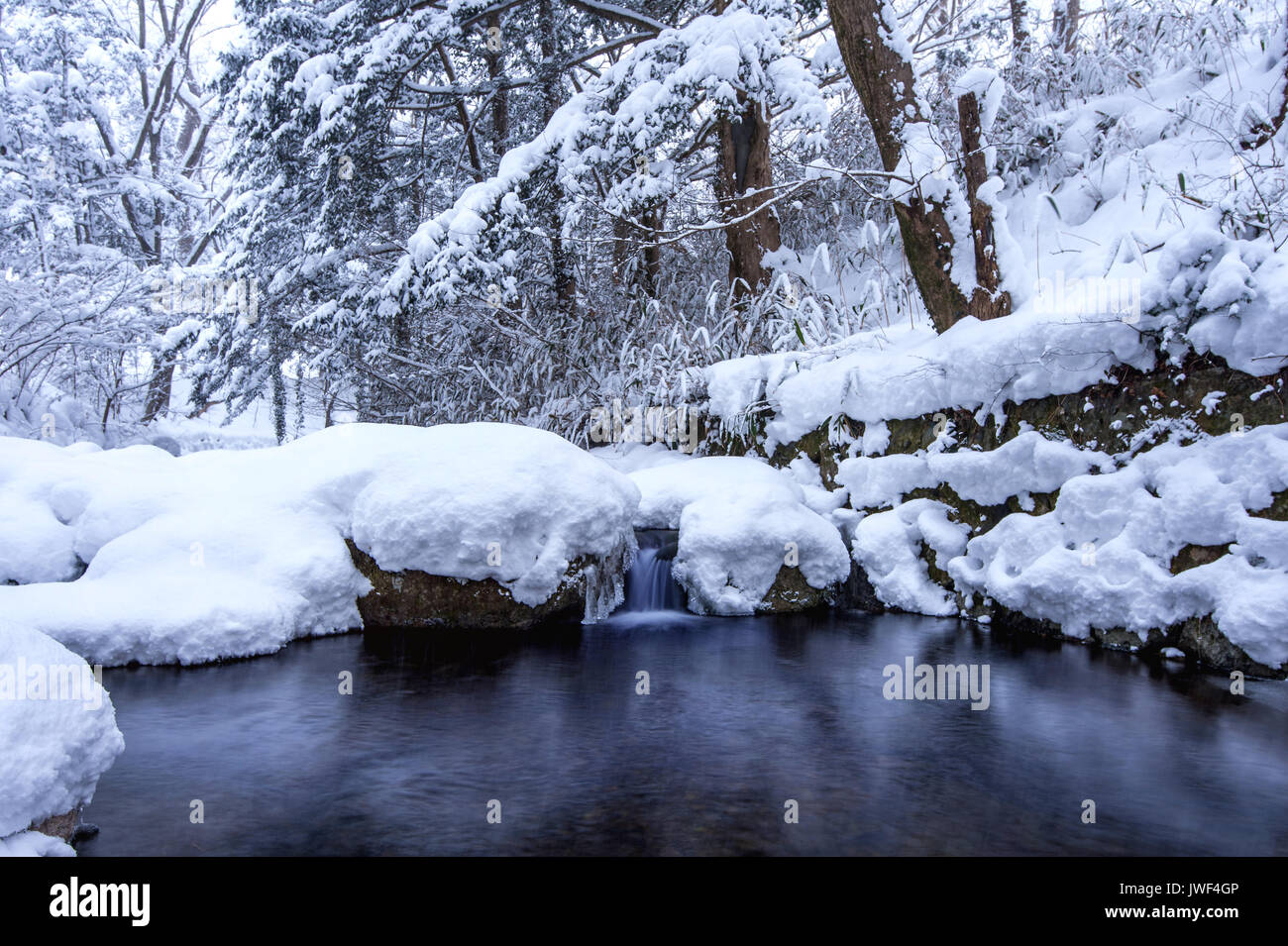 Winter landscape, Waterfall and river on the forest in winter Stock ...