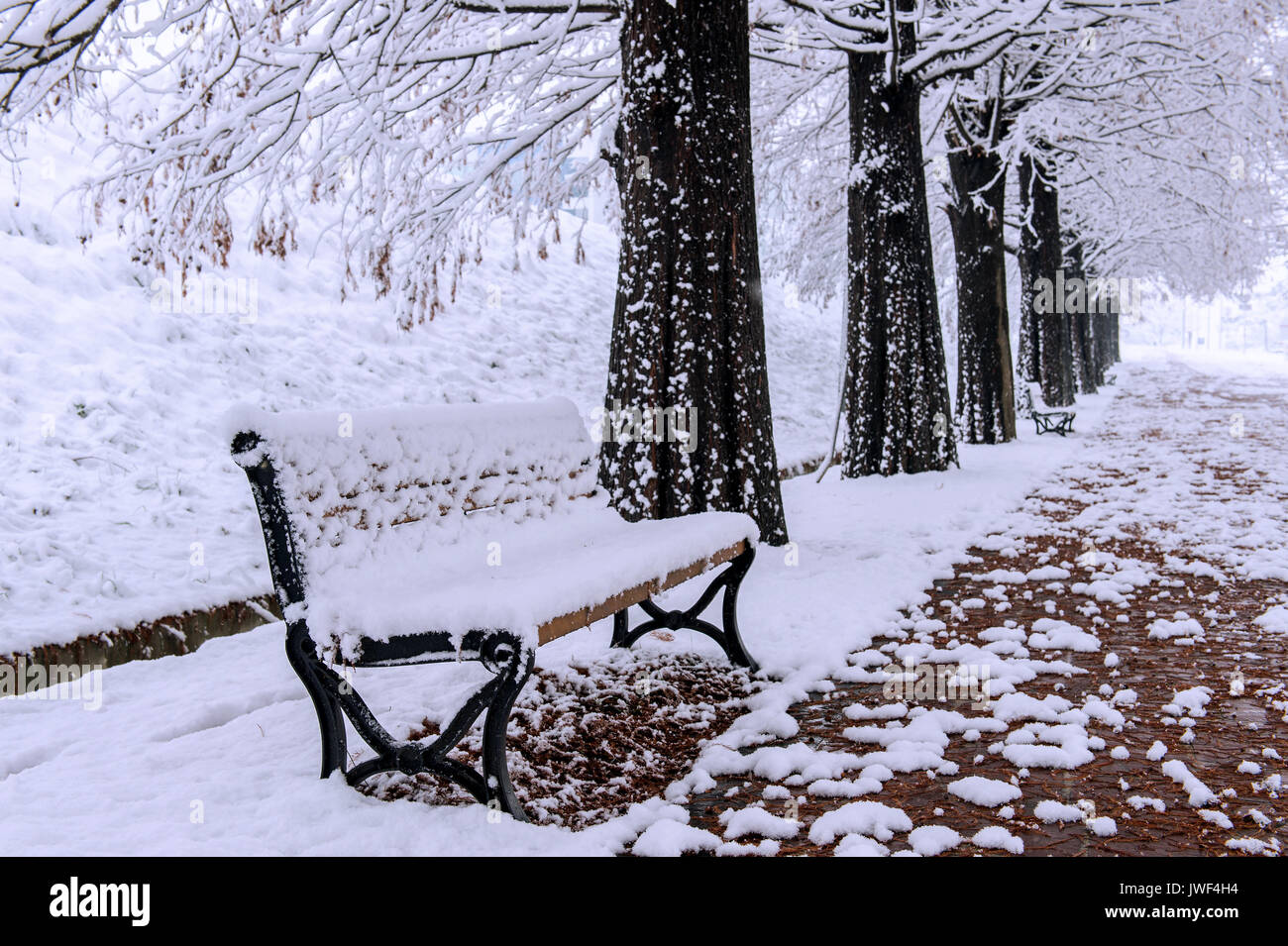 View of bench and trees with falling snow Stock Photo - Alamy