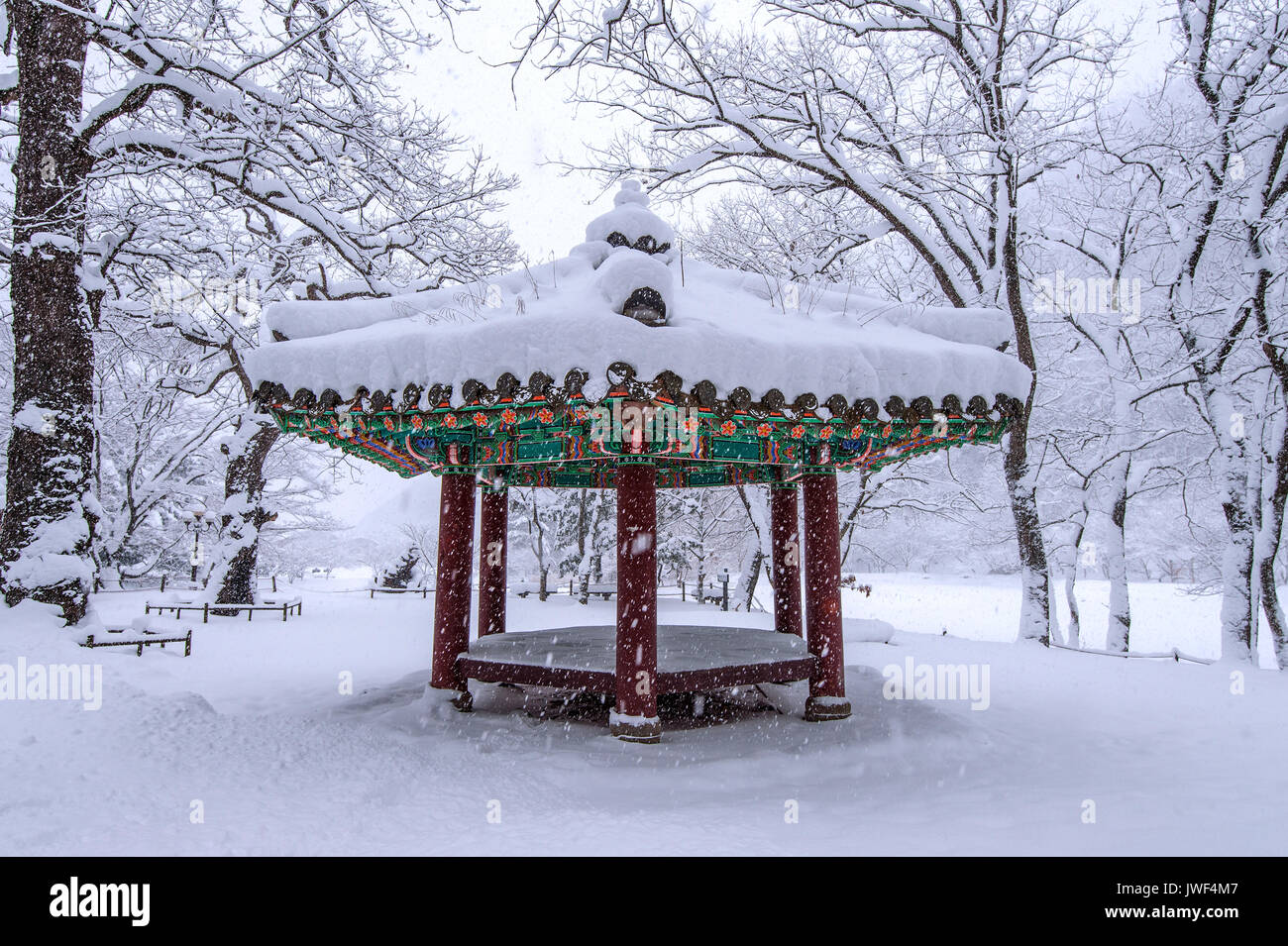 Landscape in Winter with falling snow in Seoul,South Korea Stock Photo ...