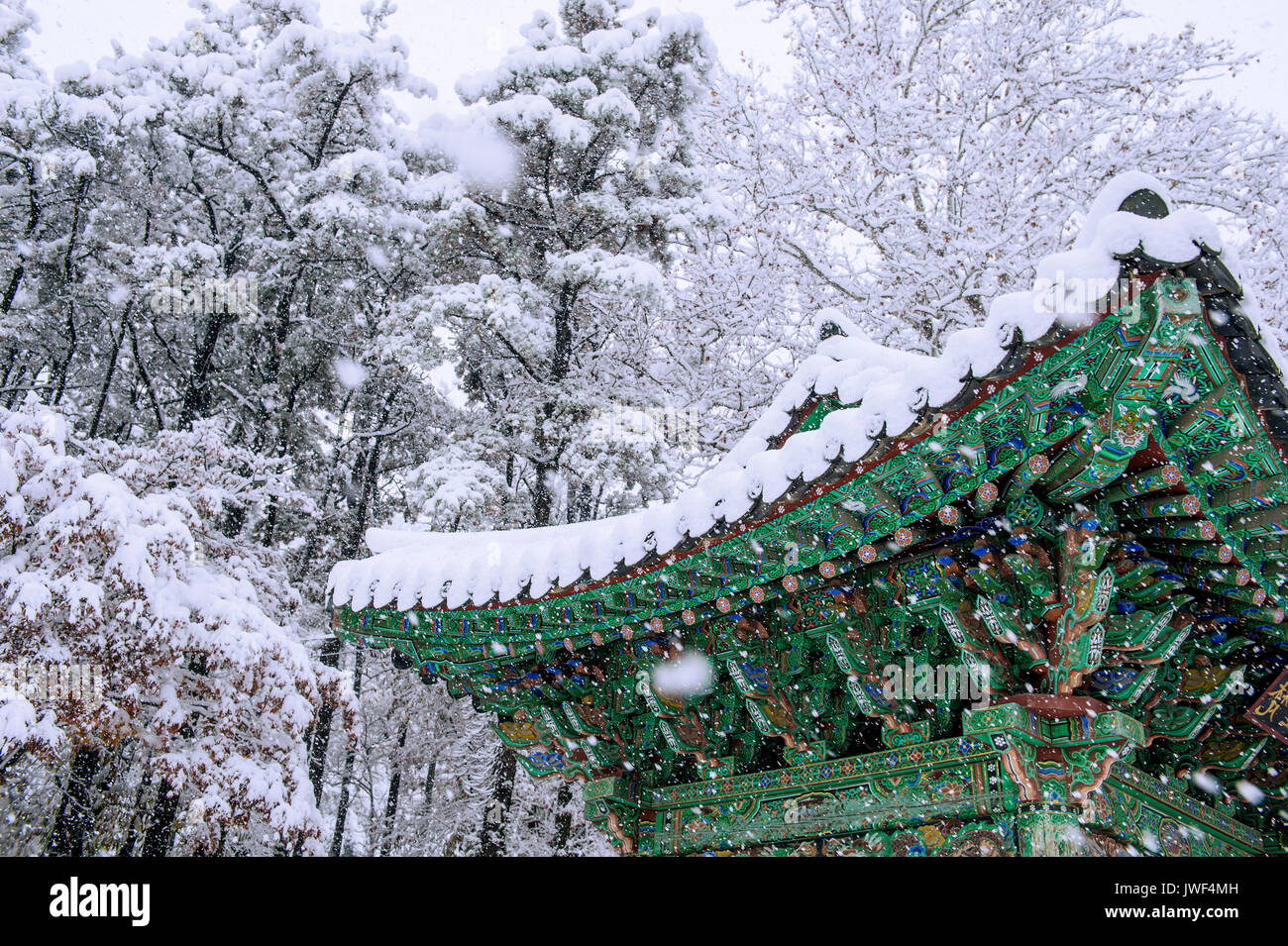 Landscape in Winter with Roof of gyeongbokgung and falling snow in ...