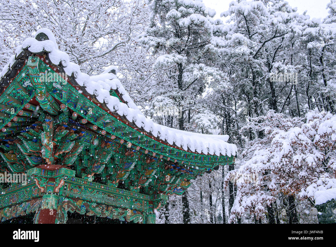 Landscape in Winter with Roof of gyeongbokgung and falling snow in Seoul,South Korea Stock Photo ...
