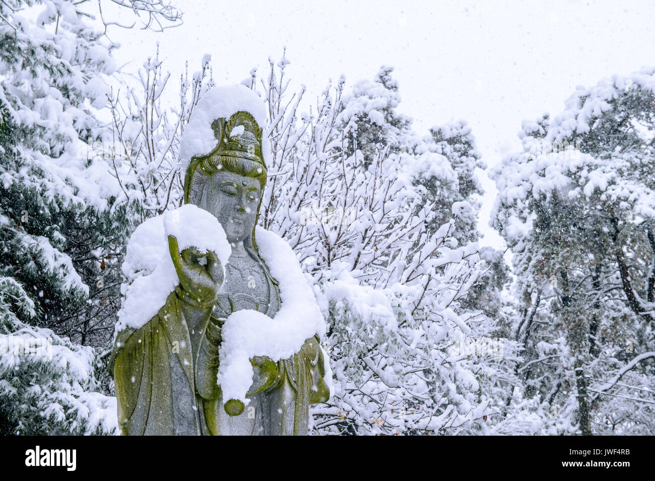 Falling snow at Guanyin statue in a winter with snow covered trees ...
