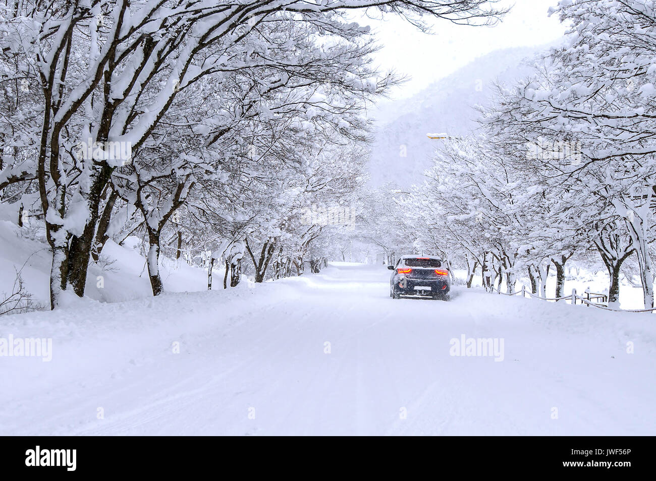Car and falling snow in winter on forest road with much snow Stock ...