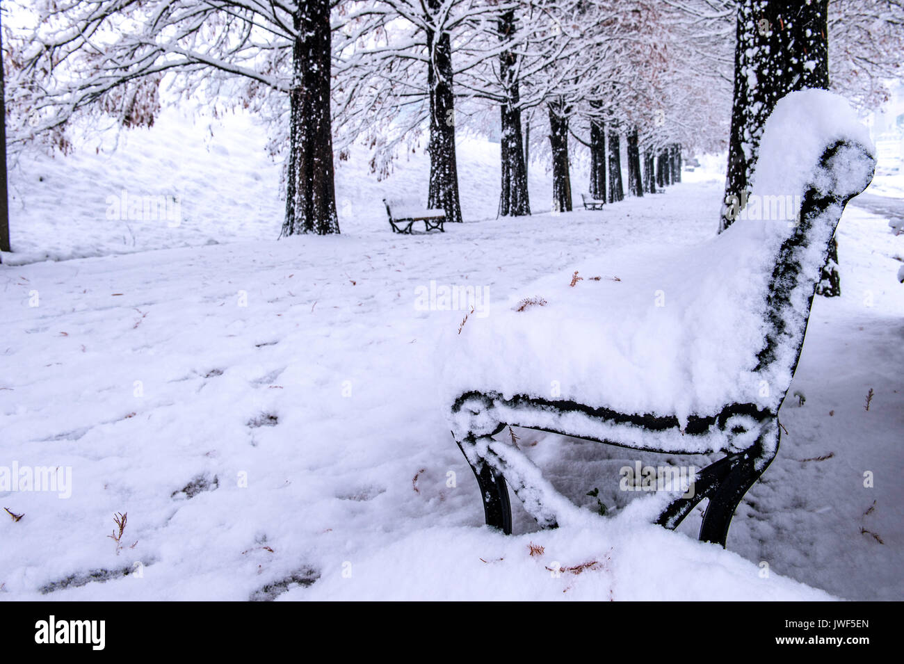 View of bench and trees with falling snow Stock Photo - Alamy