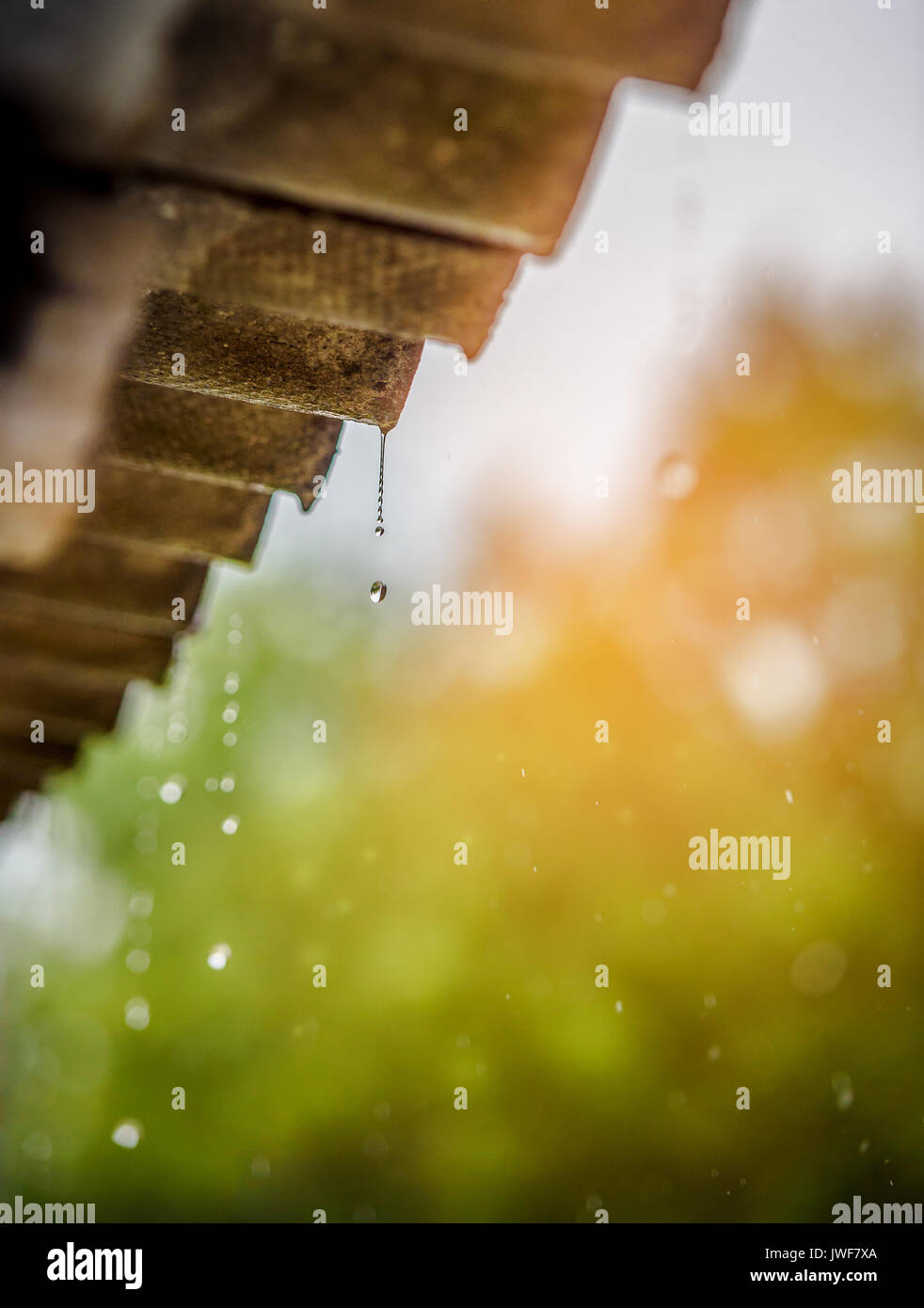rain flows down from a roof down Stock Photo - Alamy