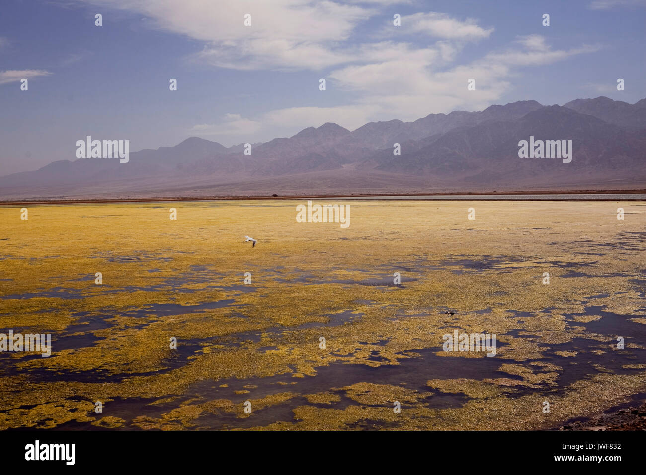 Amazing Landscapes of Israel, Views of the Holy Land Stock Photo - Alamy