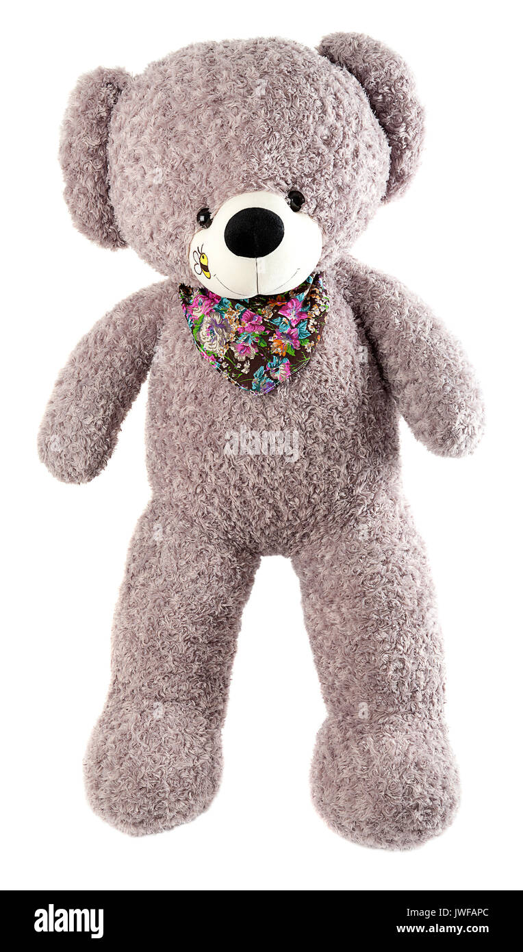 Grey toy bear isolated on white background Stock Photo - Alamy