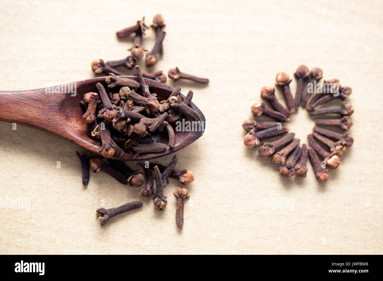 clove placed on light background Stock Photo - Alamy