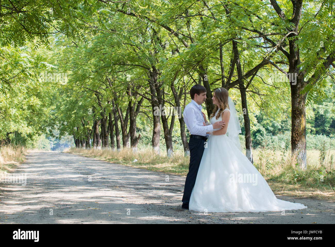 Beautiful married couple in the wedding day Stock Photo - Alamy