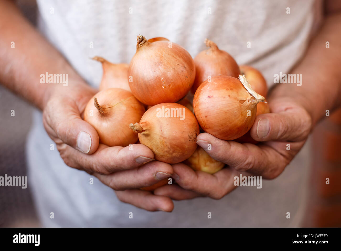 Old farmer holding onion hi-res stock photography and images - Alamy