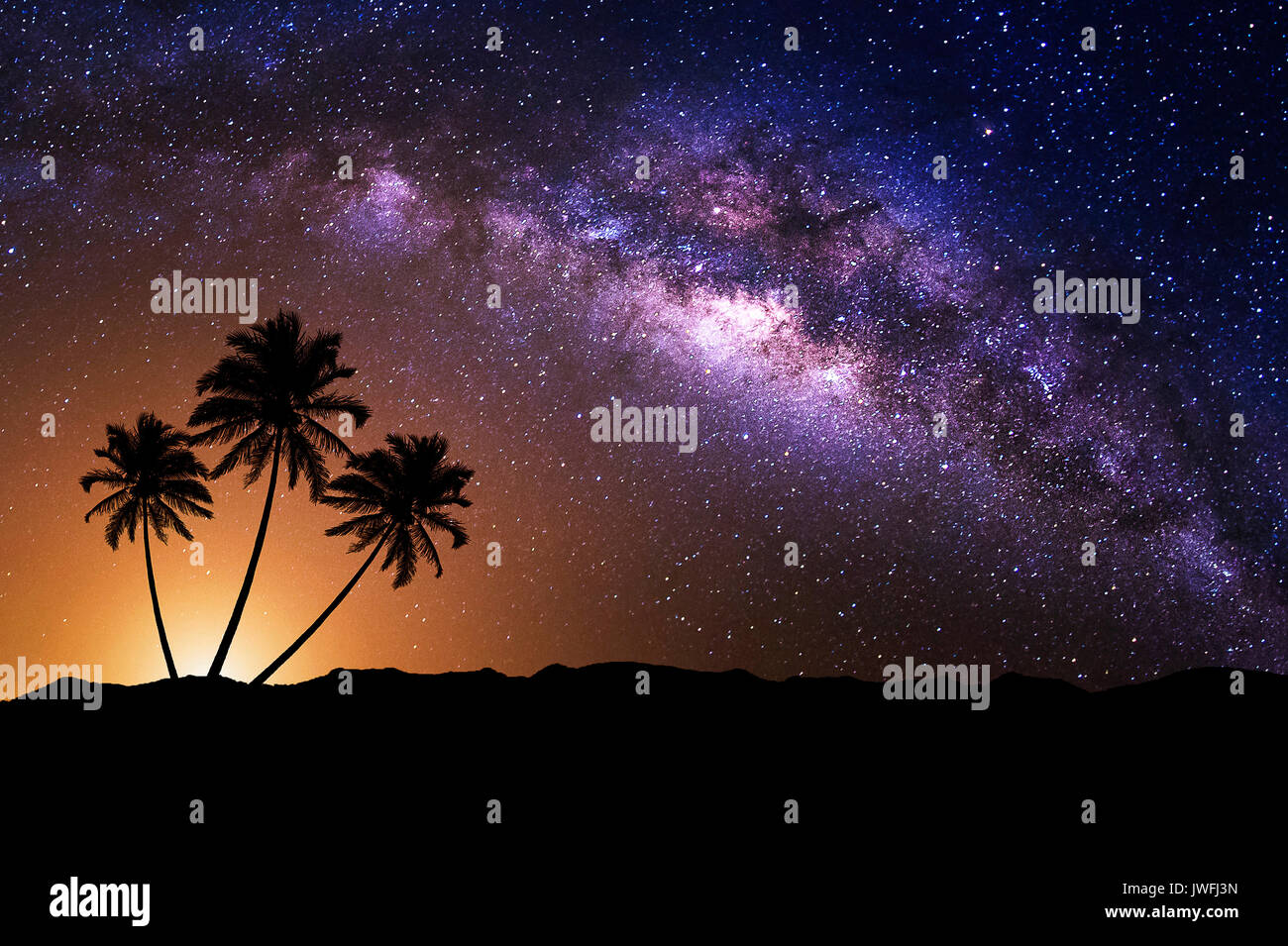 Night scene with Milky Way and coconut tree Stock Photo - Alamy