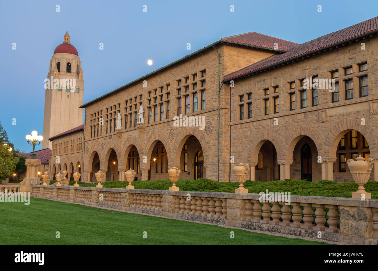 Palm tree moonrise hi-res stock photography and images - Alamy