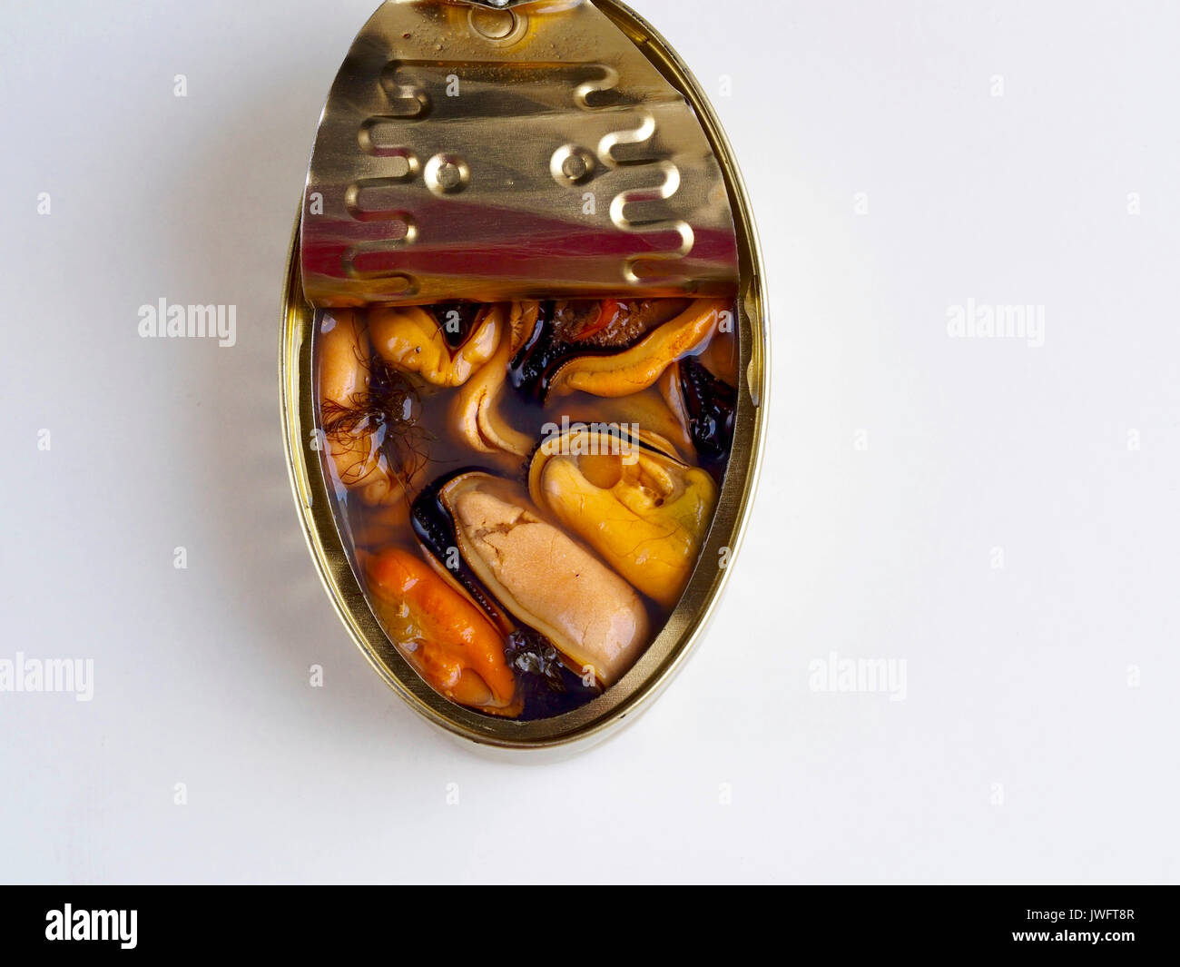 Natural mussels canned on white background Stock Photo - Alamy