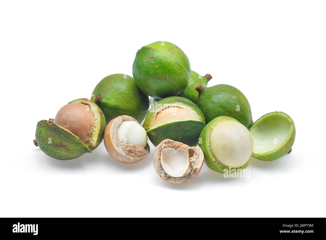 Macadamia isolated on white background Stock Photo - Alamy