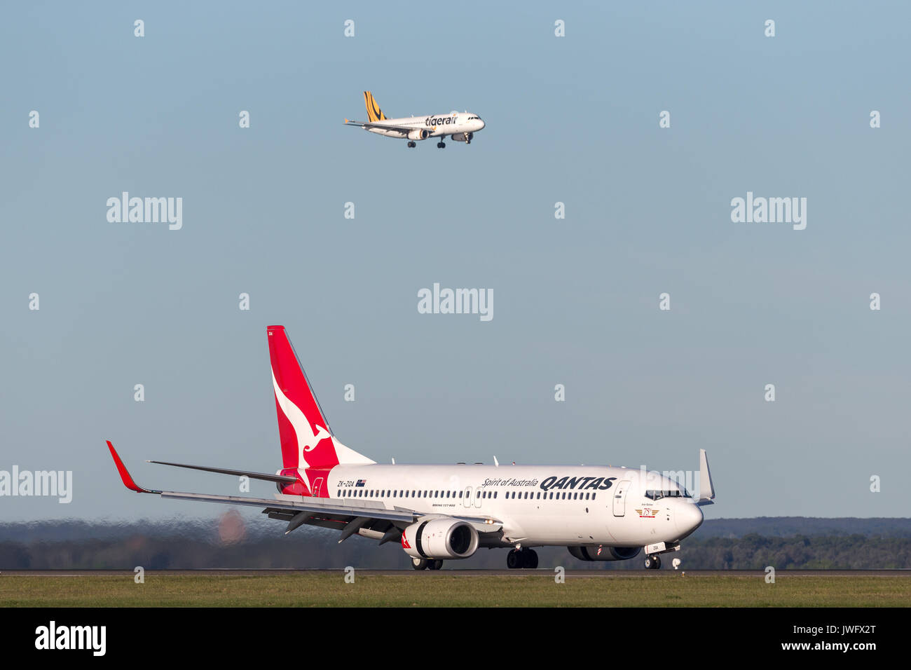 Qantas Boeing 737-800 aircraft at Sydney Airport with a Tiger Airways ...