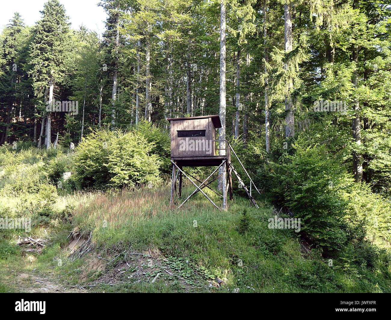 Lookout tower for hunting, hunting forest lookout tower in the woods ...