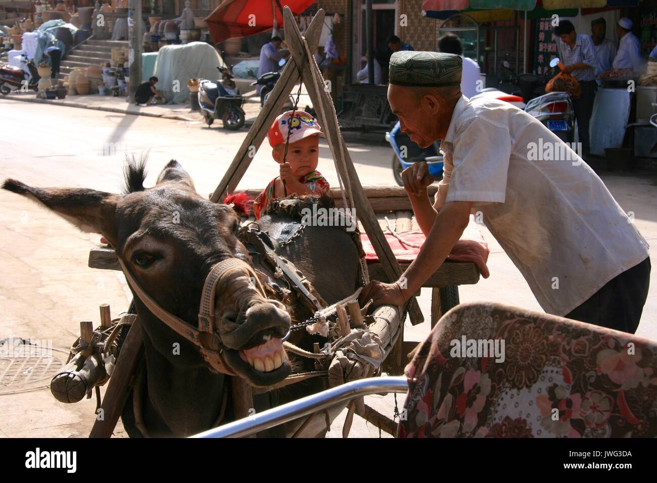 Donkey car drawn by a smiling donkey Stock Photo - Alamy
