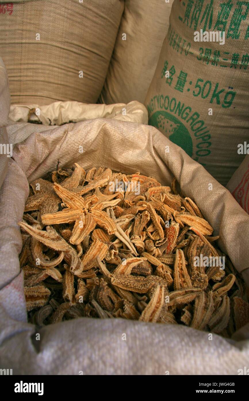 Star fish hi-res stock photography and images - Alamy