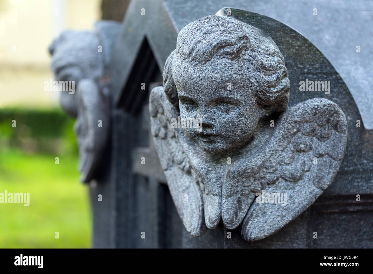 Weeping weep hi-res stock photography and images - Alamy