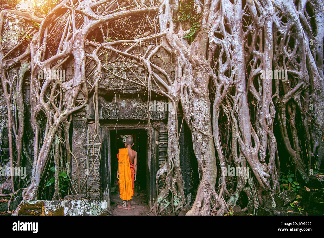 The monks and Trees growing out of Ta Prohm temple, Angkor Wat in ...