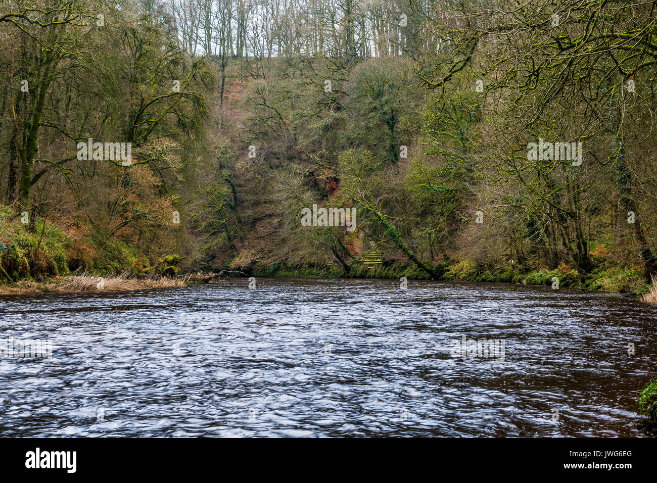 Peden's cove on the River Ayr, Ayrshire Stock Photo - Alamy
